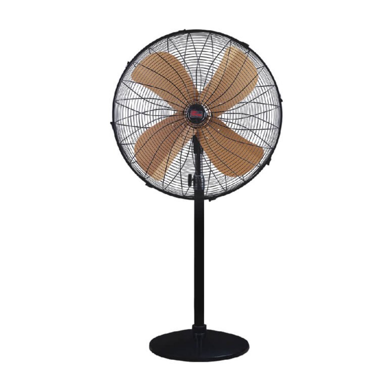 Home » Pak Punjab Fans