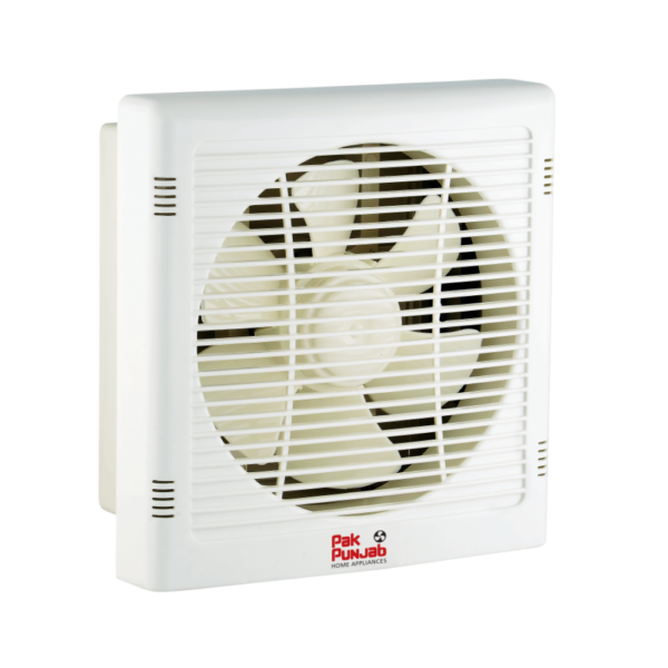 Home » Pak Punjab Fans