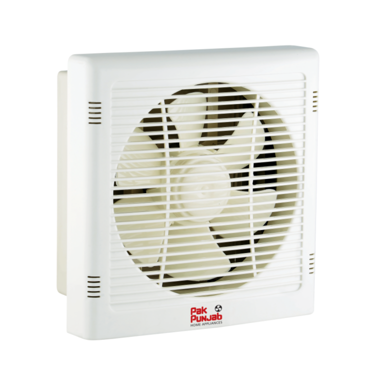 Home » Pak Punjab Fans