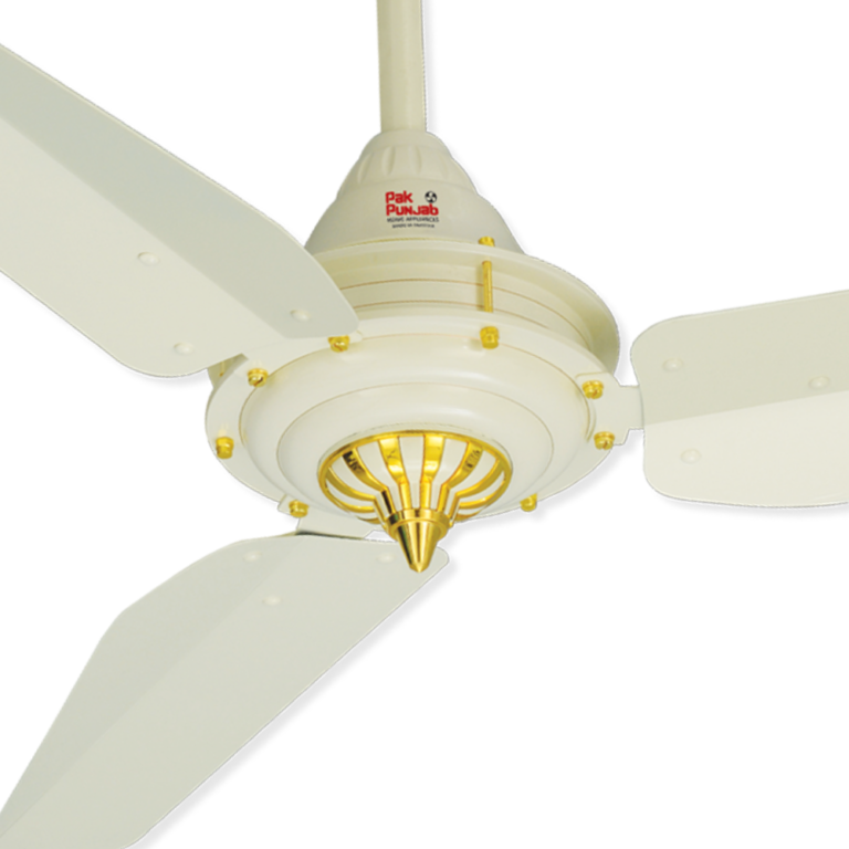 Home » Pak Punjab Fans